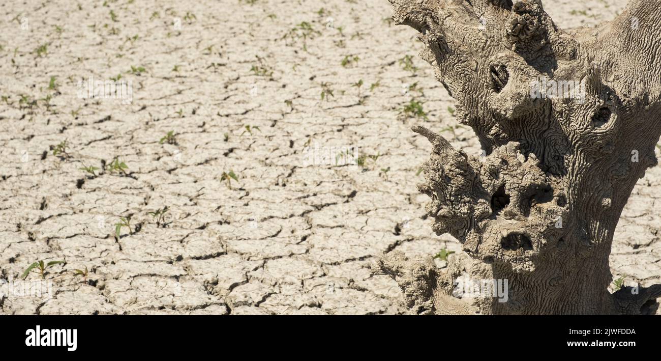 Cry climate hi-res stock photography and images - Alamy