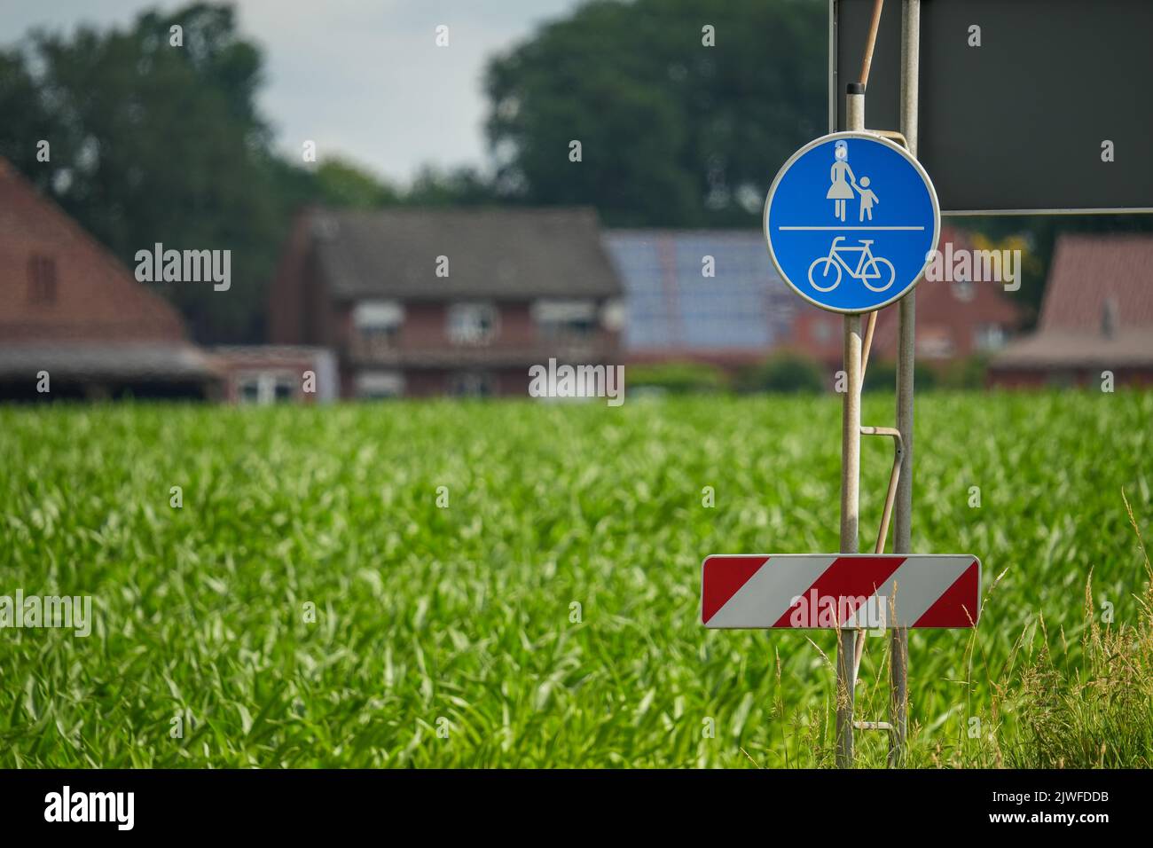 A closeup of traffic signs for bikes and pedestrians with grass and ...