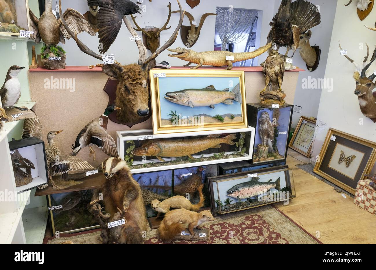 Scarborough, North Yorkshire, UK, September 1 2022 The interior of a ...