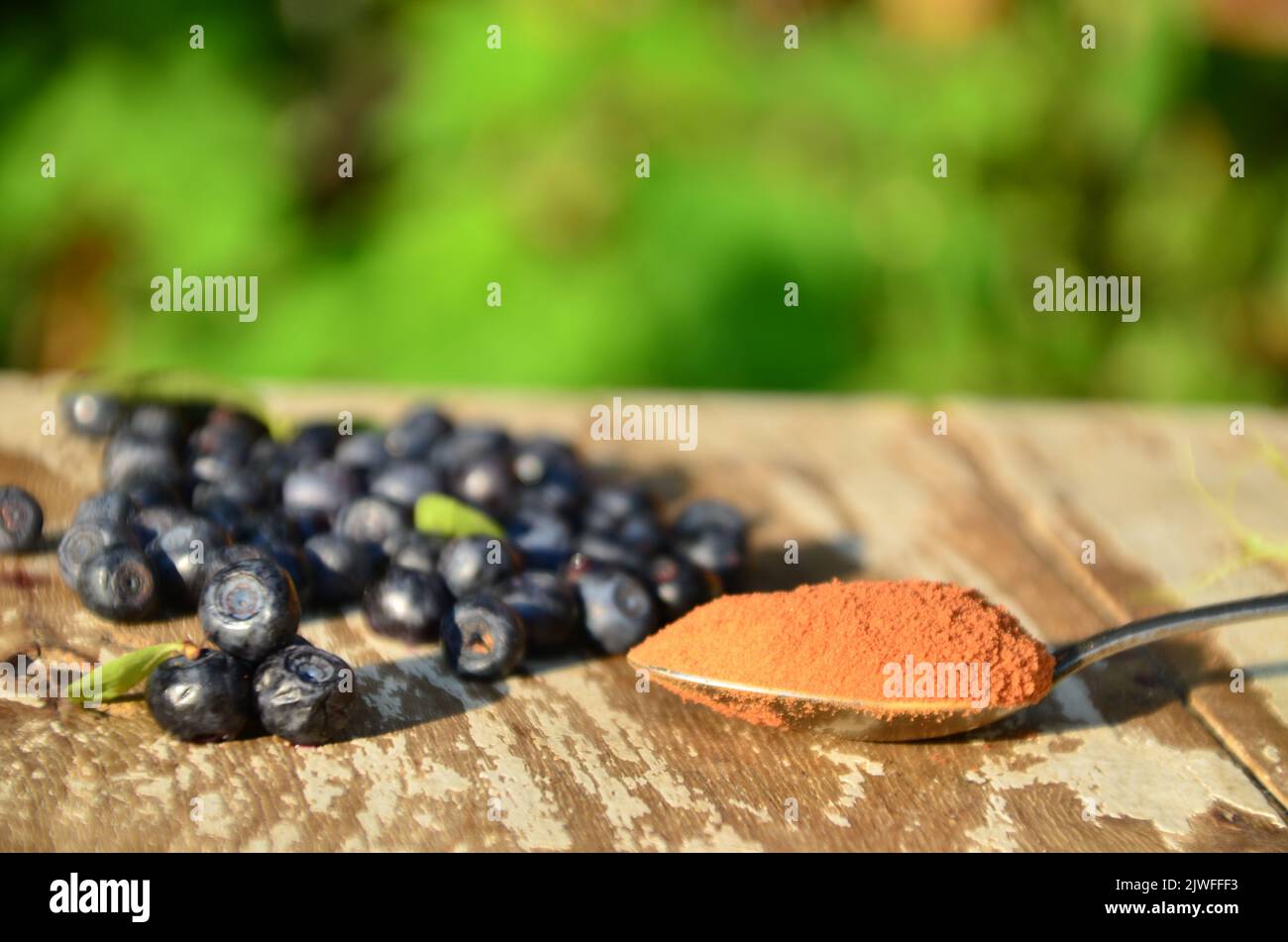Antioxidant rich Blueberry Powder made freeze dried super food and hand ...