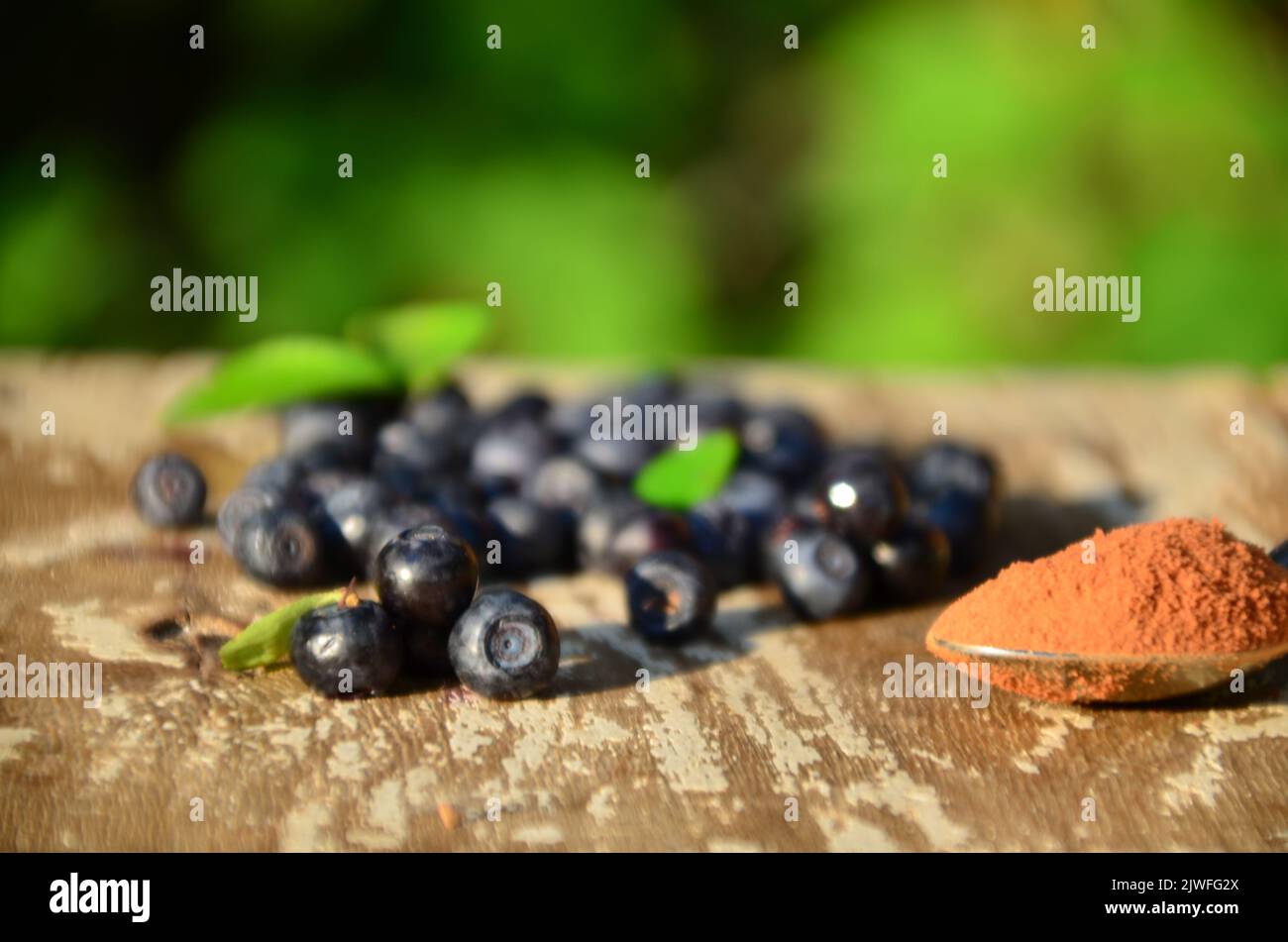 Antioxidant rich Blueberry Powder made freeze dried super food and hand ...