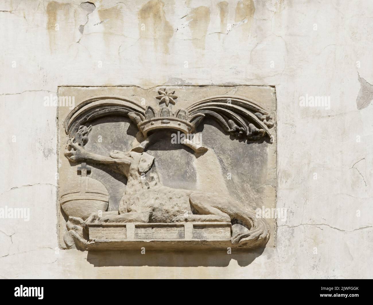 Relief of Dominican order coat of arms depicting a dog with a burning ...