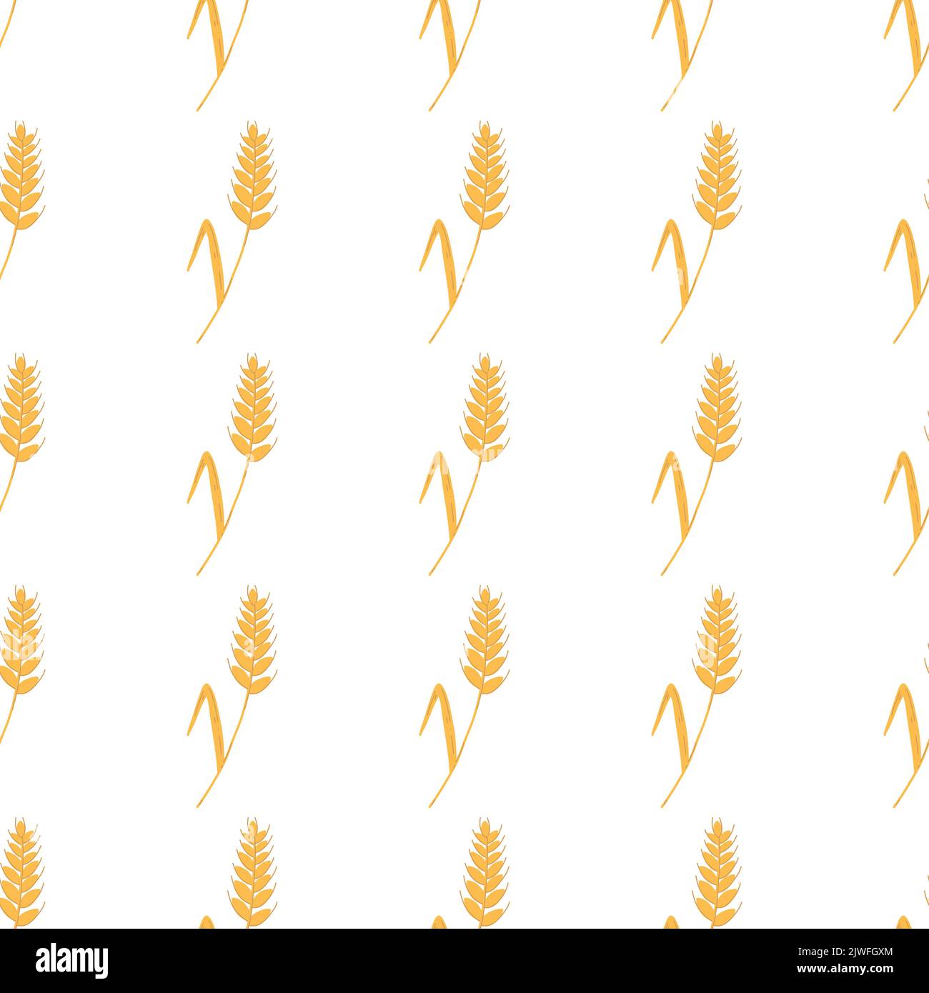 Seamless pattern with spikelets and grains of wheat on white background ...