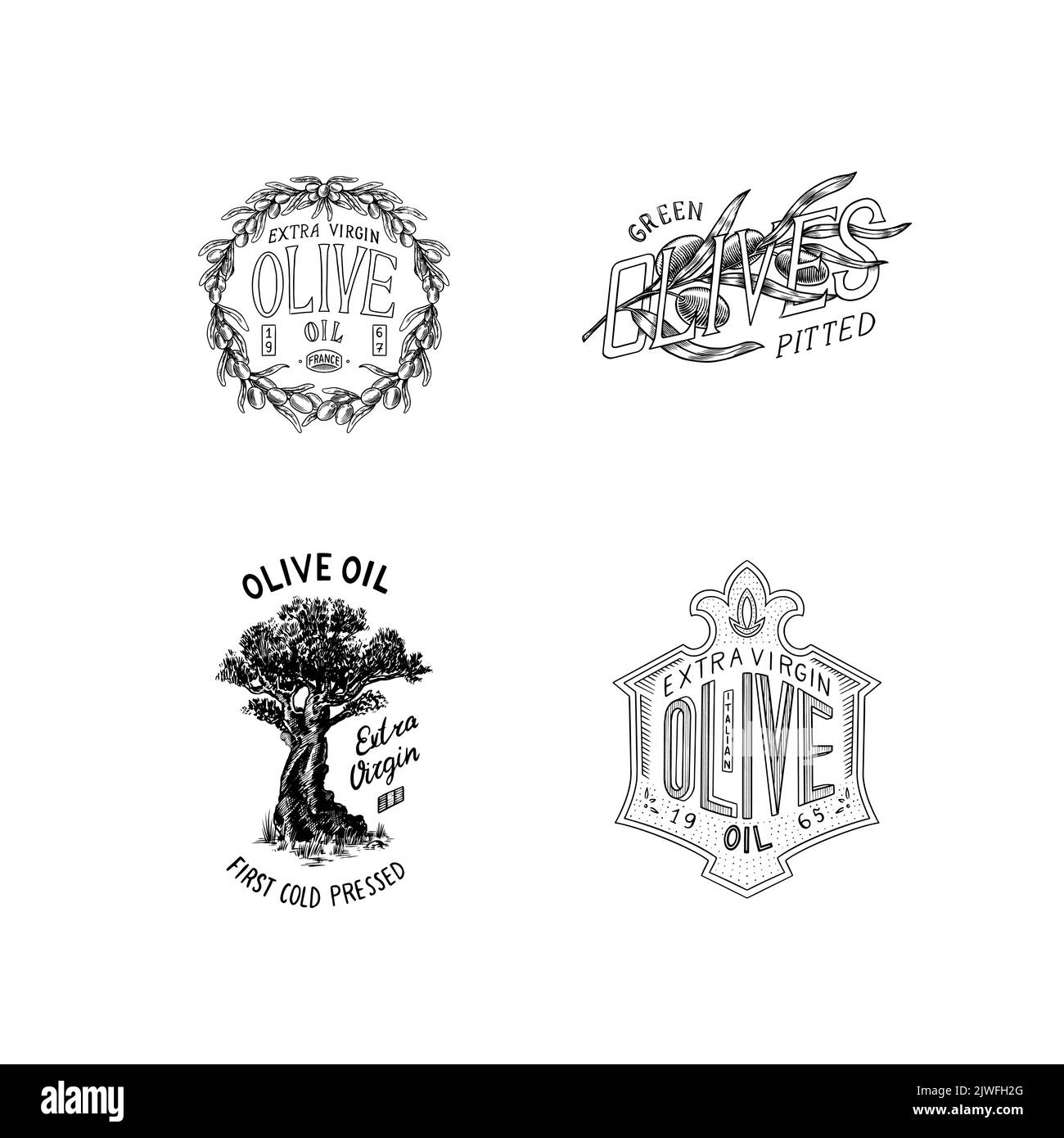 Olive tree logo engraved hand hi-res stock photography and images - Alamy