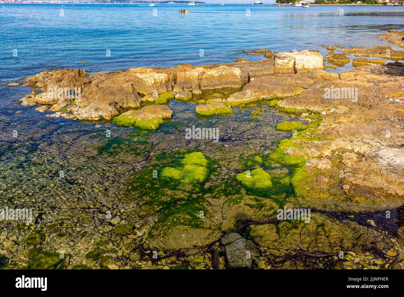Coastline of Saint Margaret - one of The Lerins Islands ((Îles de ...