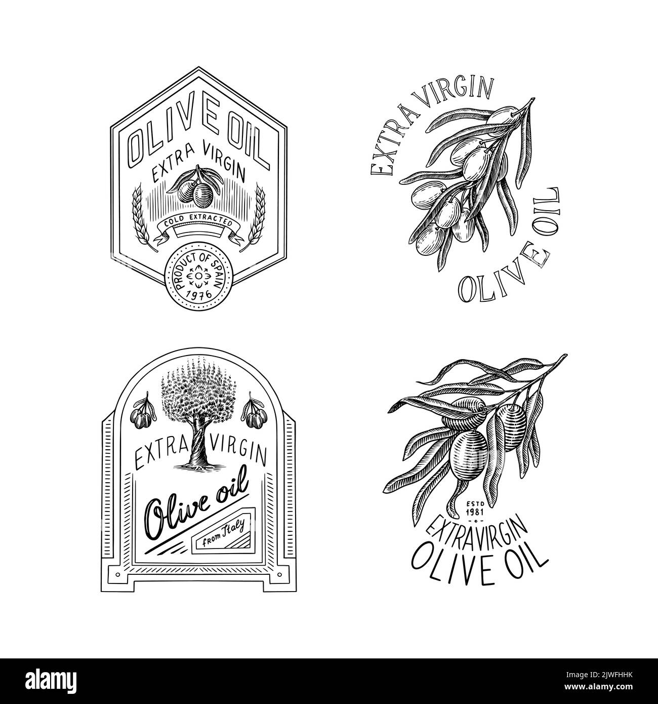 Olive tree logo engraved hand hi-res stock photography and images - Alamy