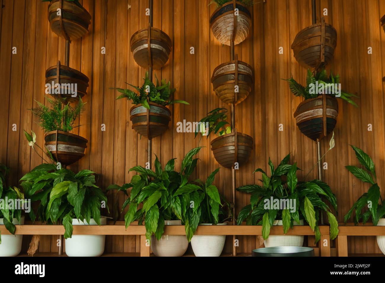 Cafe interior with elements of biophilic design. The concept of ...