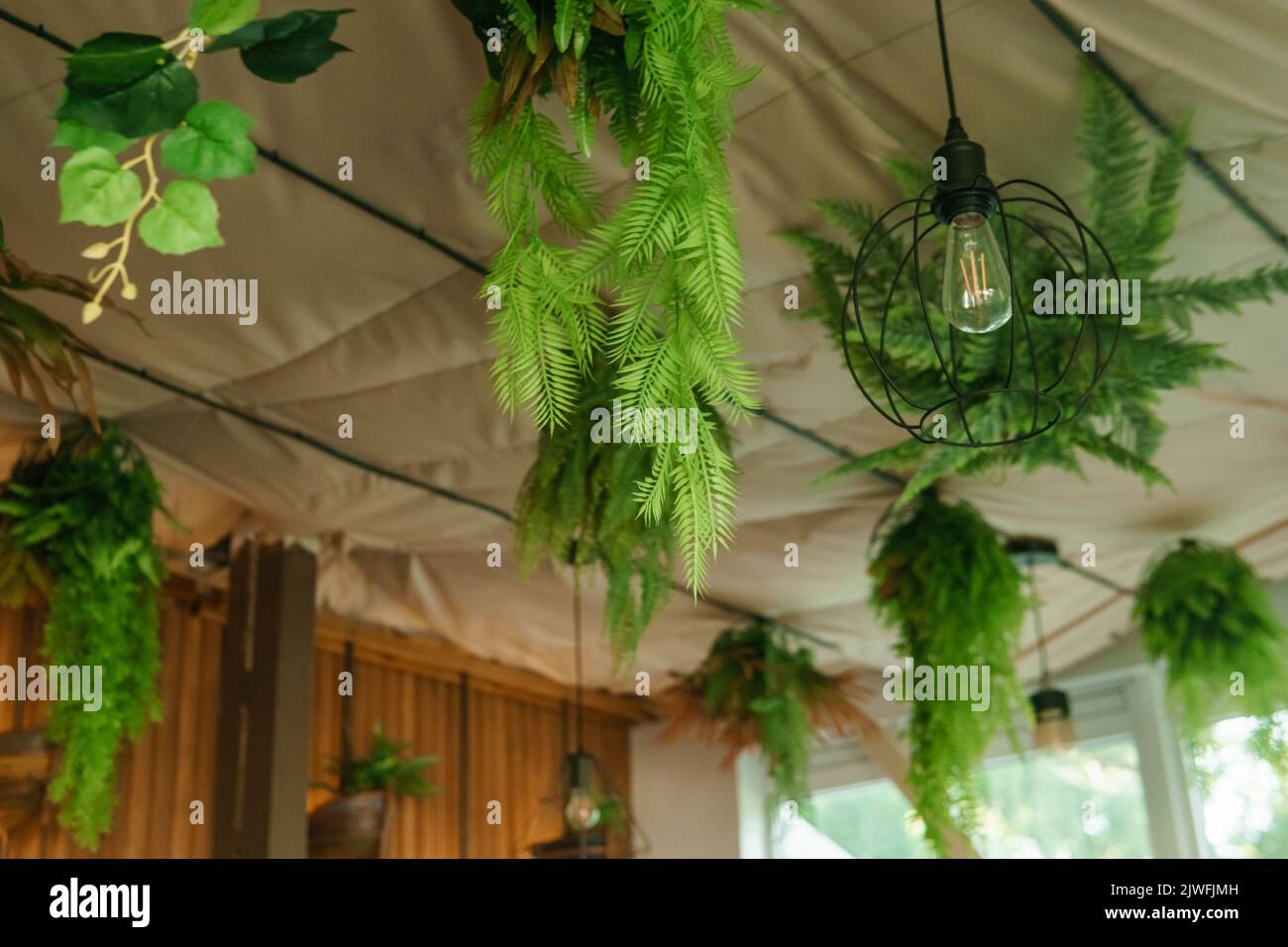 Cafe interior with elements of biophilic design. The ceiling is ...