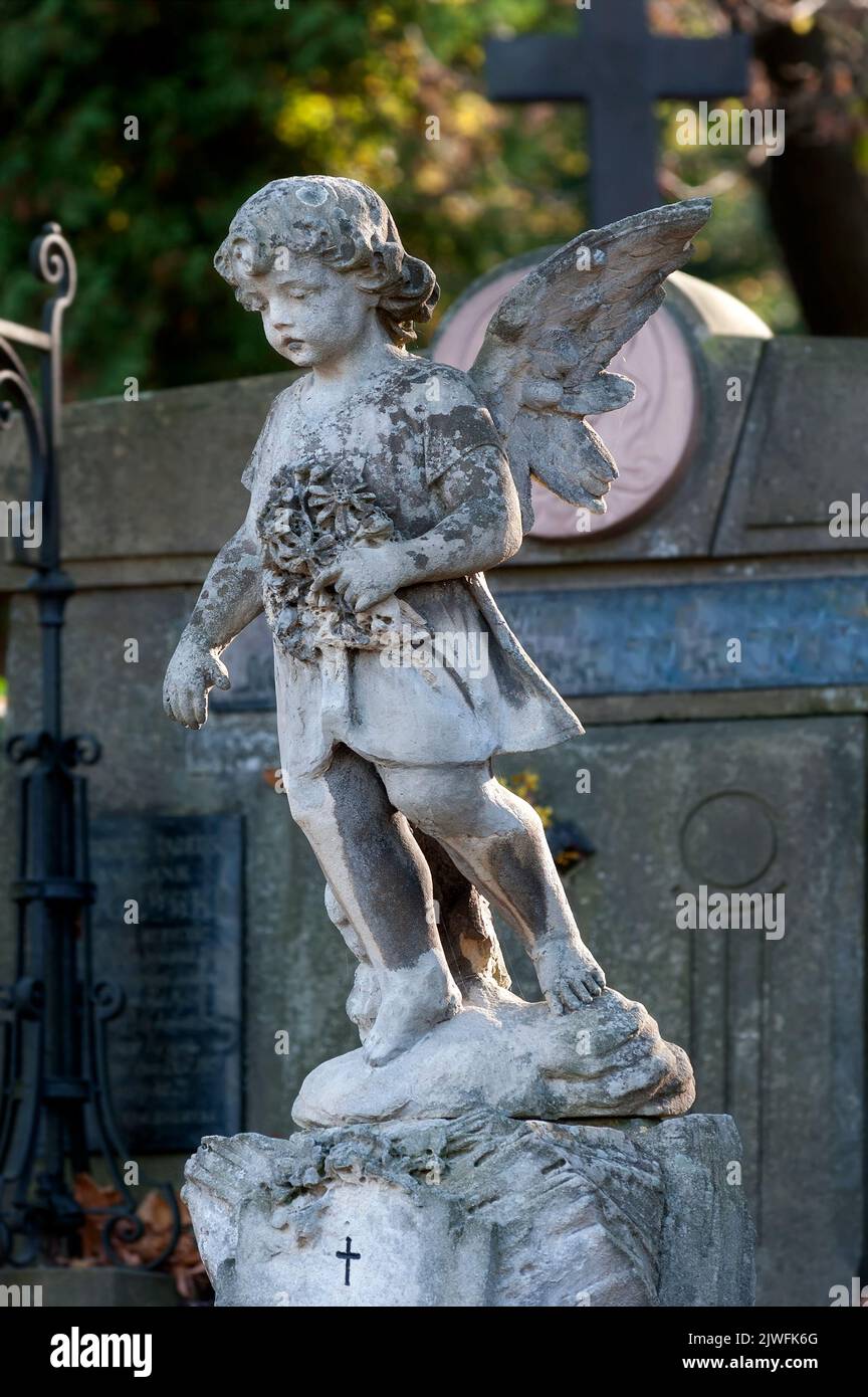 Old angel with flowers statue on grave in the Lychakiv cemetery of Lviv ...