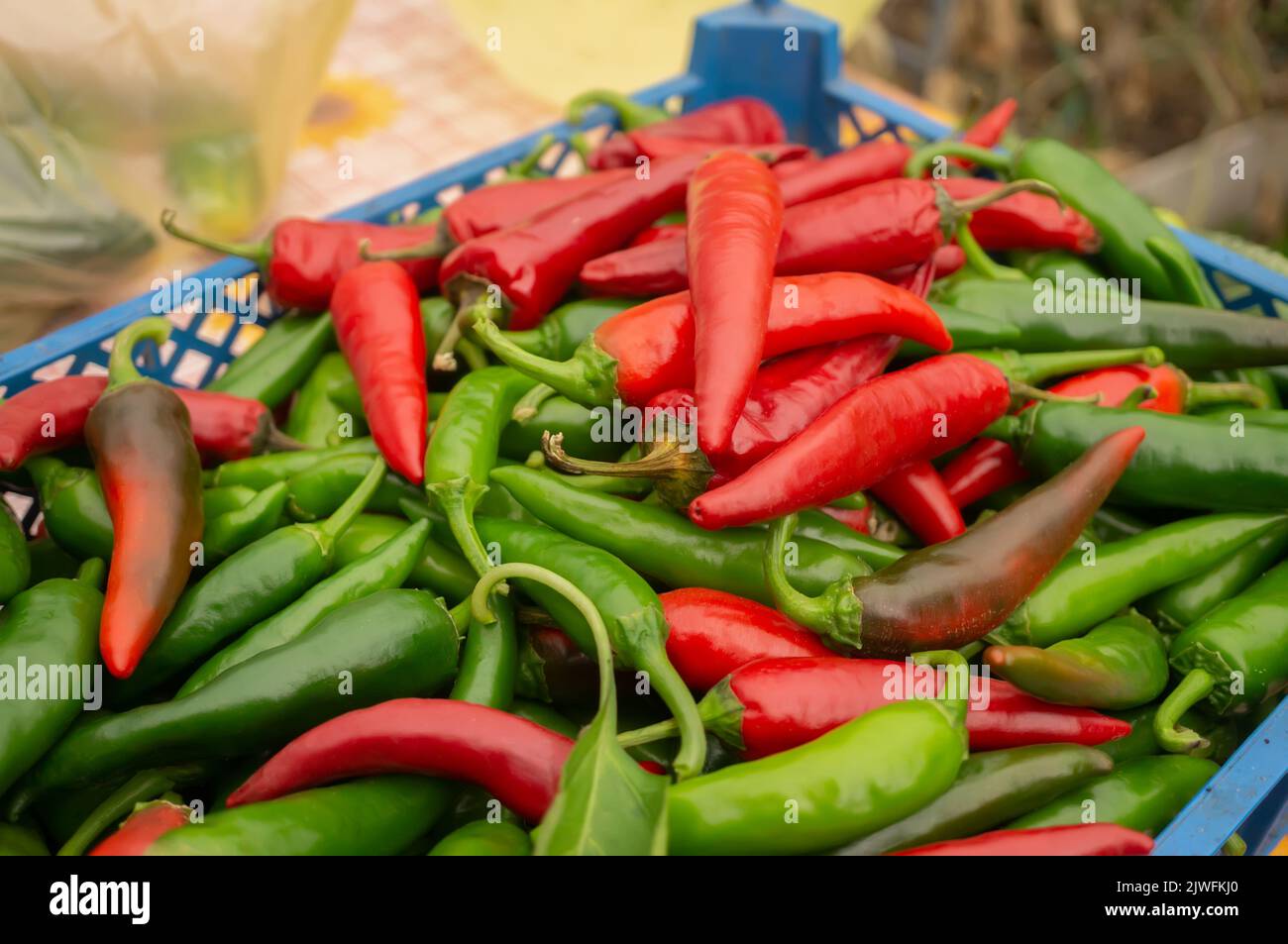 pepper in a box. Red and green bitter fresh pepper in a box, a row in a ...