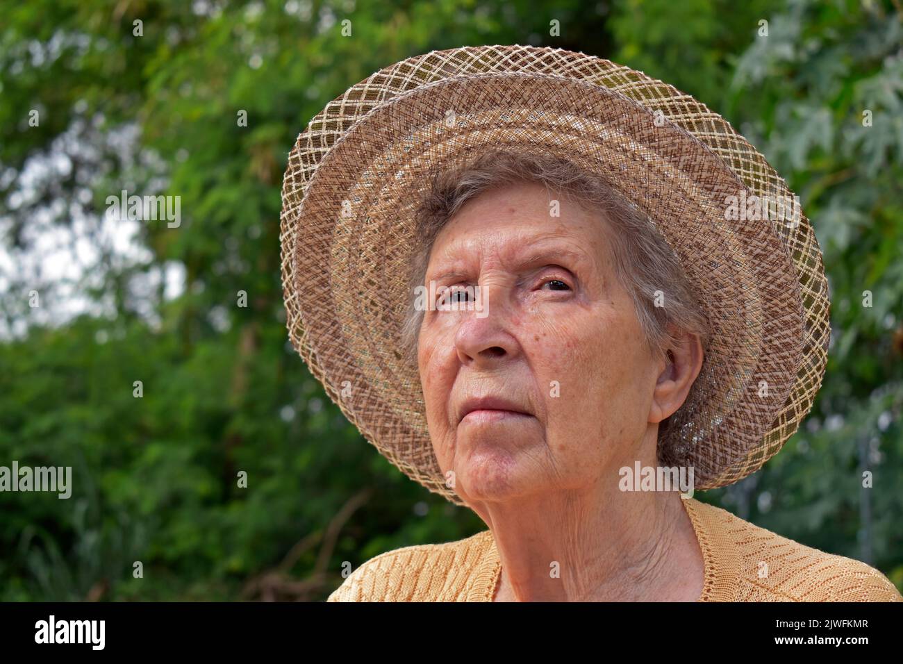 Grandmother elderly woman hi-res stock photography and images - Alamy