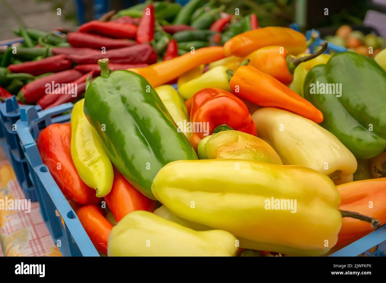 pepper in a box. Red and yellow fresh sweet bell peppers in a box, a ...