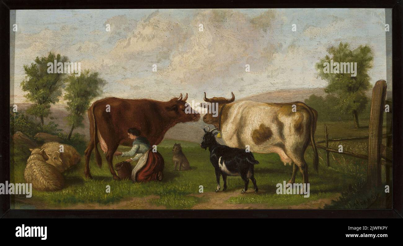 Landscape with a woman milking a cow in the pasture, sheep and a goat ...