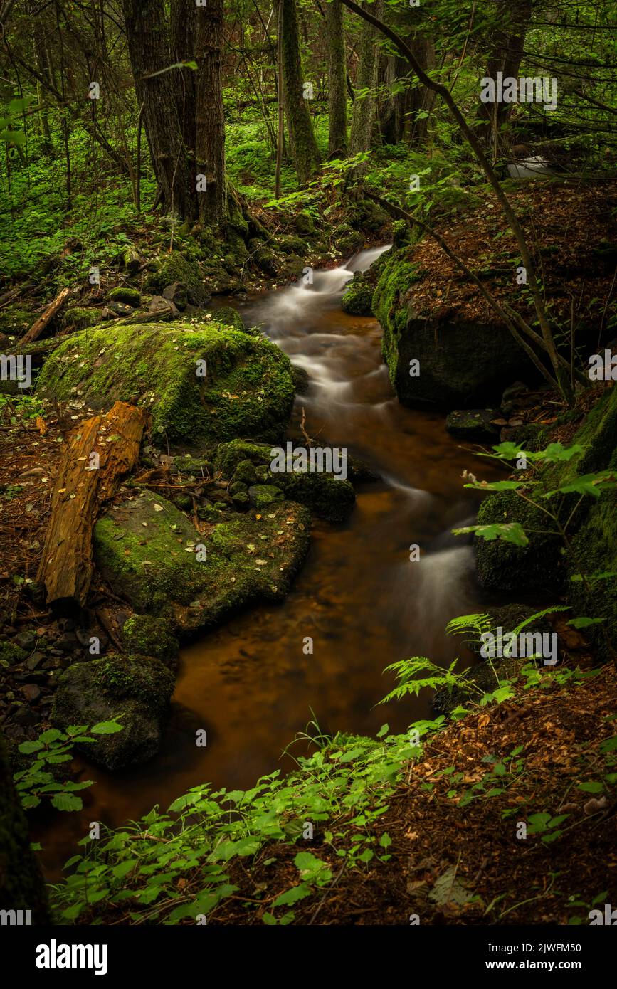 Mensi vltavice hi-res stock photography and images - Alamy