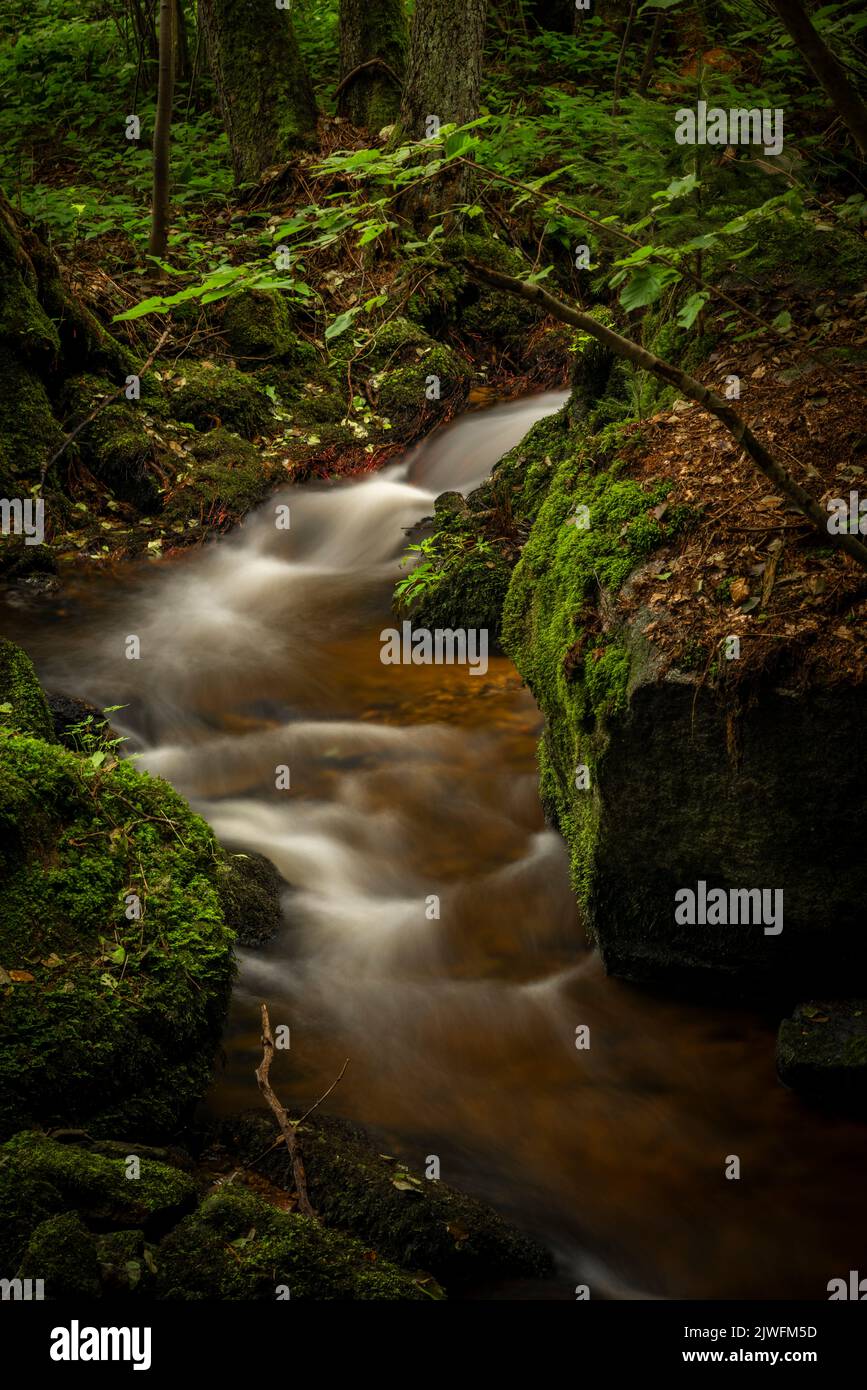 Mensi vltavice hi-res stock photography and images - Alamy