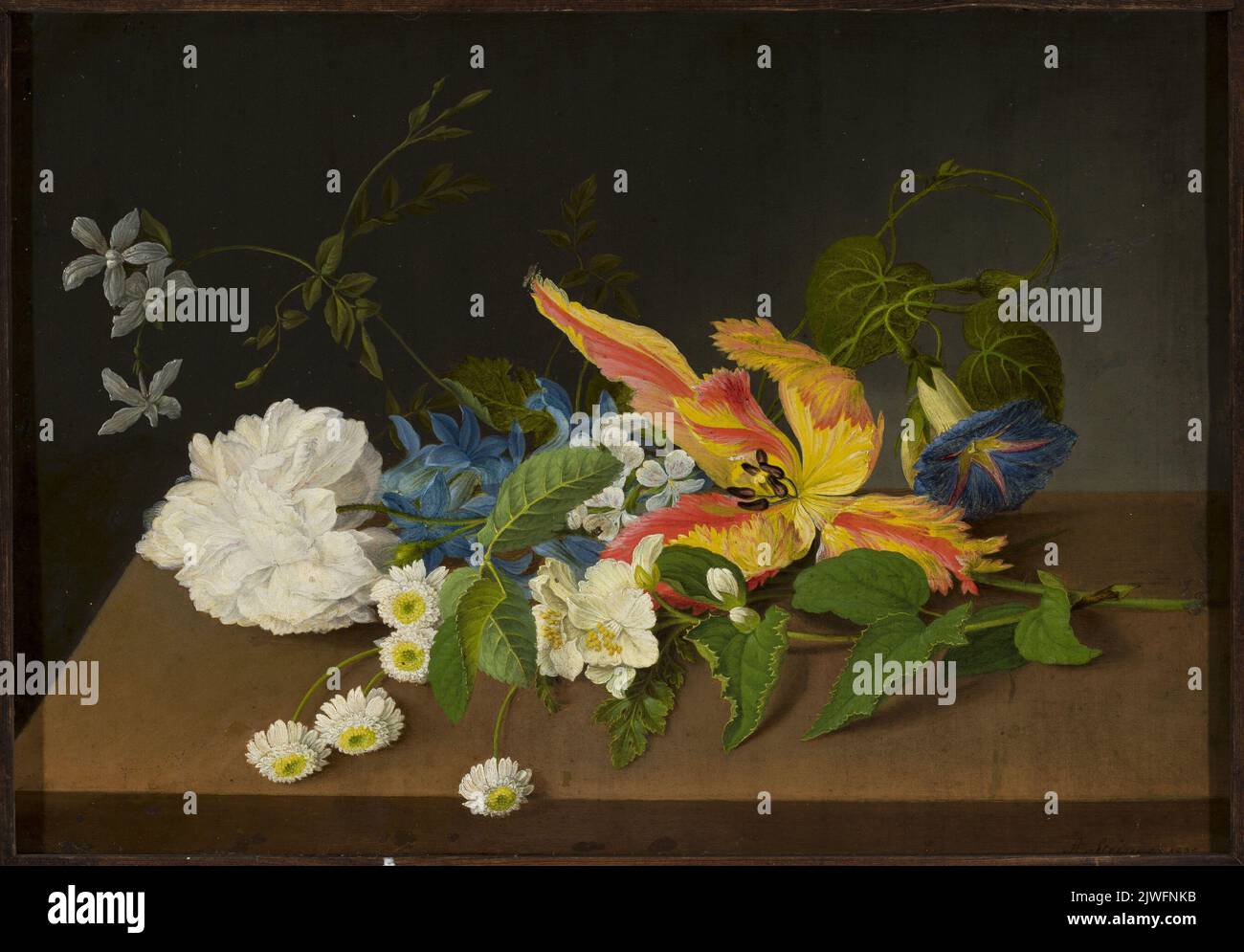 Flowers on the table. Steiner, Anna Barbara, painter Stock Photo - Alamy