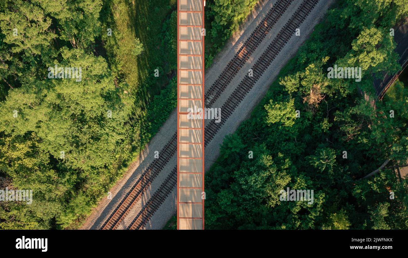 An aerial of a bridge hanging above train tracks inside a forest Stock ...