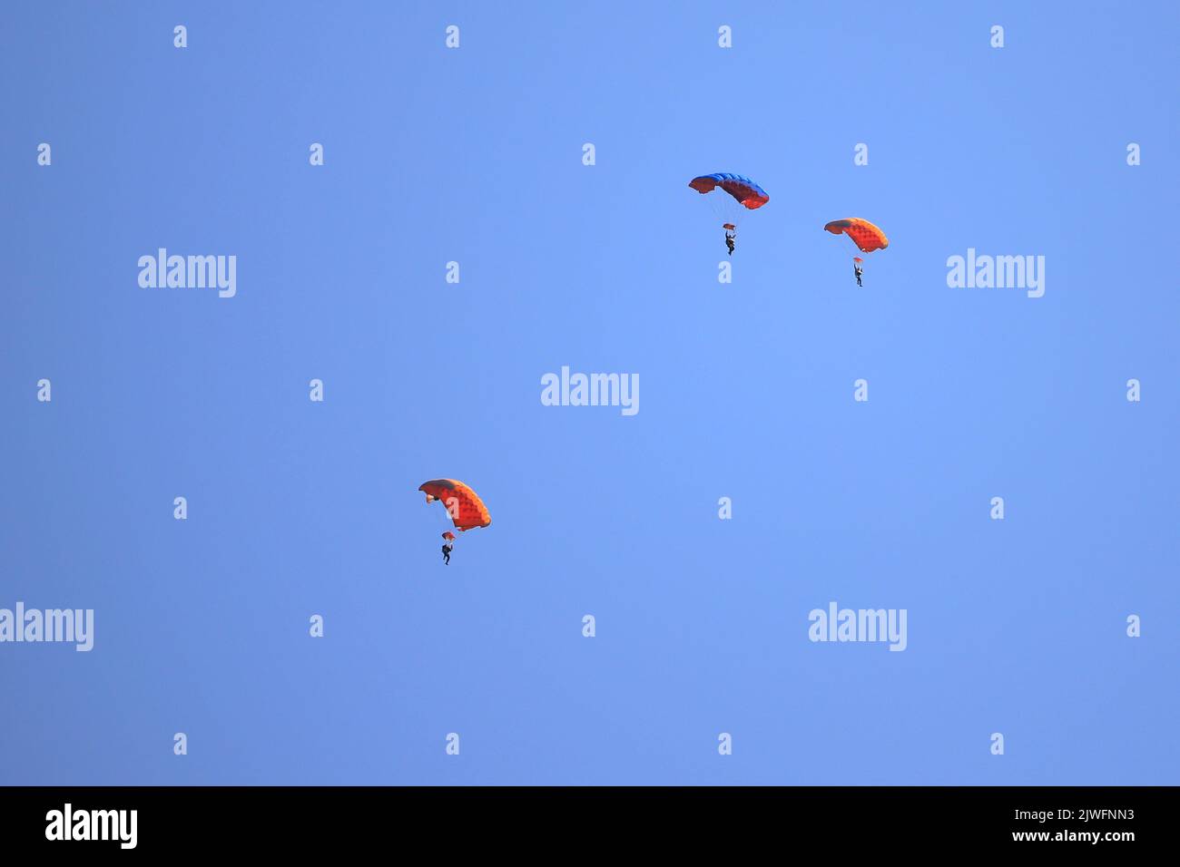 Skydivers descends on a parachute Stock Photo - Alamy