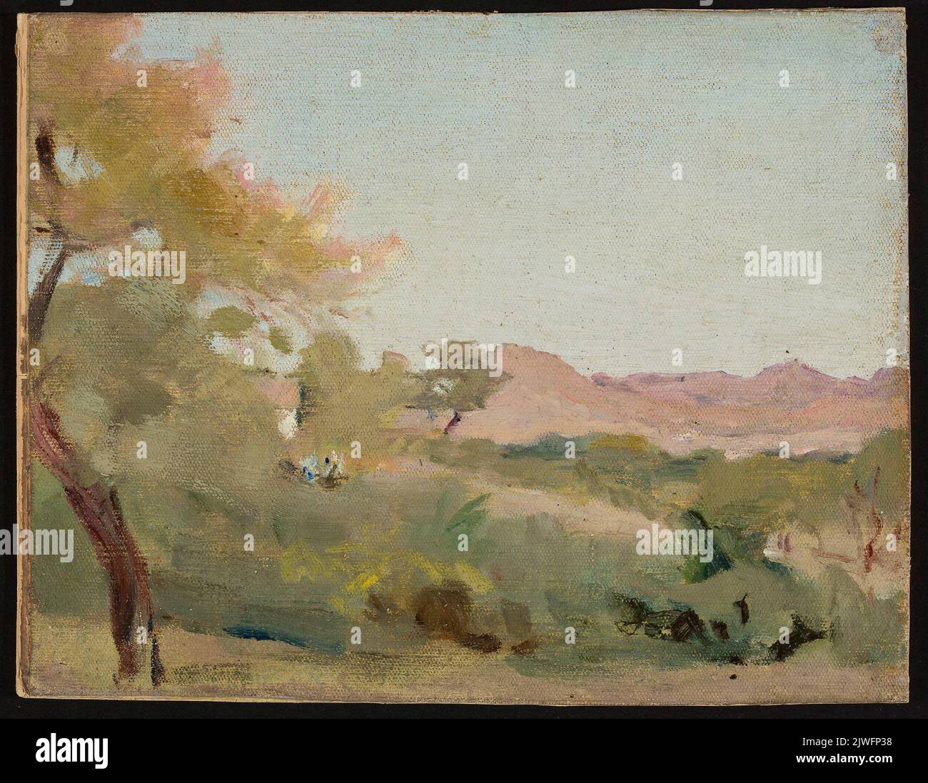 Udaipur – Indian landscape. From the journey to India. Ciągliński, Jan ...