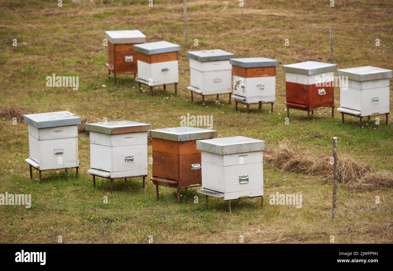 Bee hives in farm field hi-res stock photography and images - Alamy