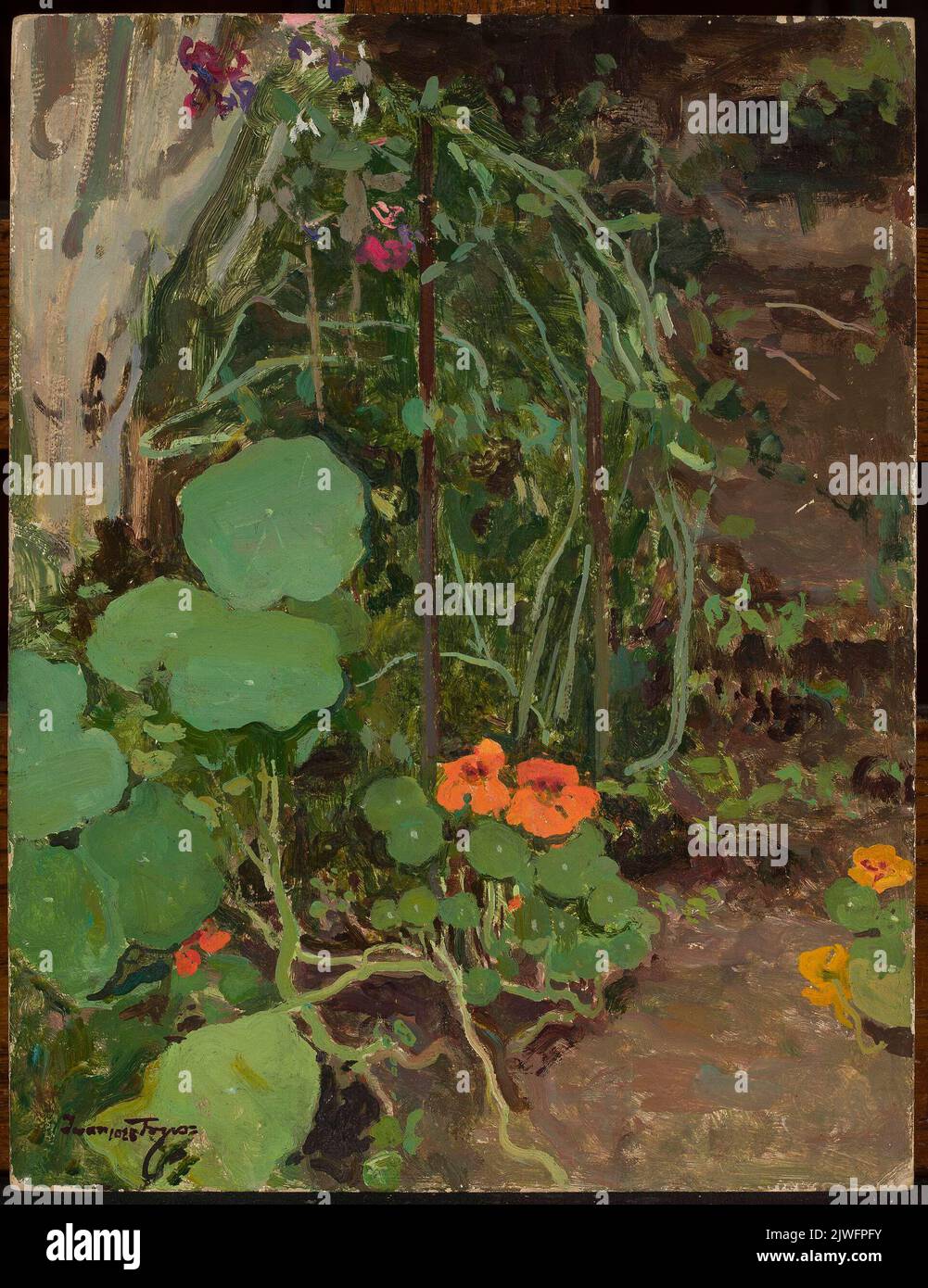 Nasturtiums III. Trusz, Iwan (1869-1941), painter Stock Photo - Alamy