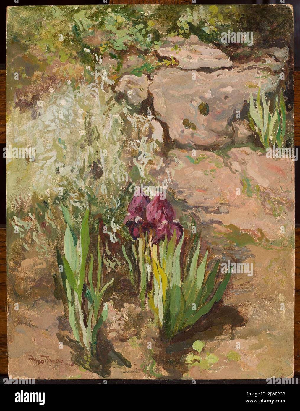 Irises. Trusz, Iwan (1869-1941), painter Stock Photo - Alamy