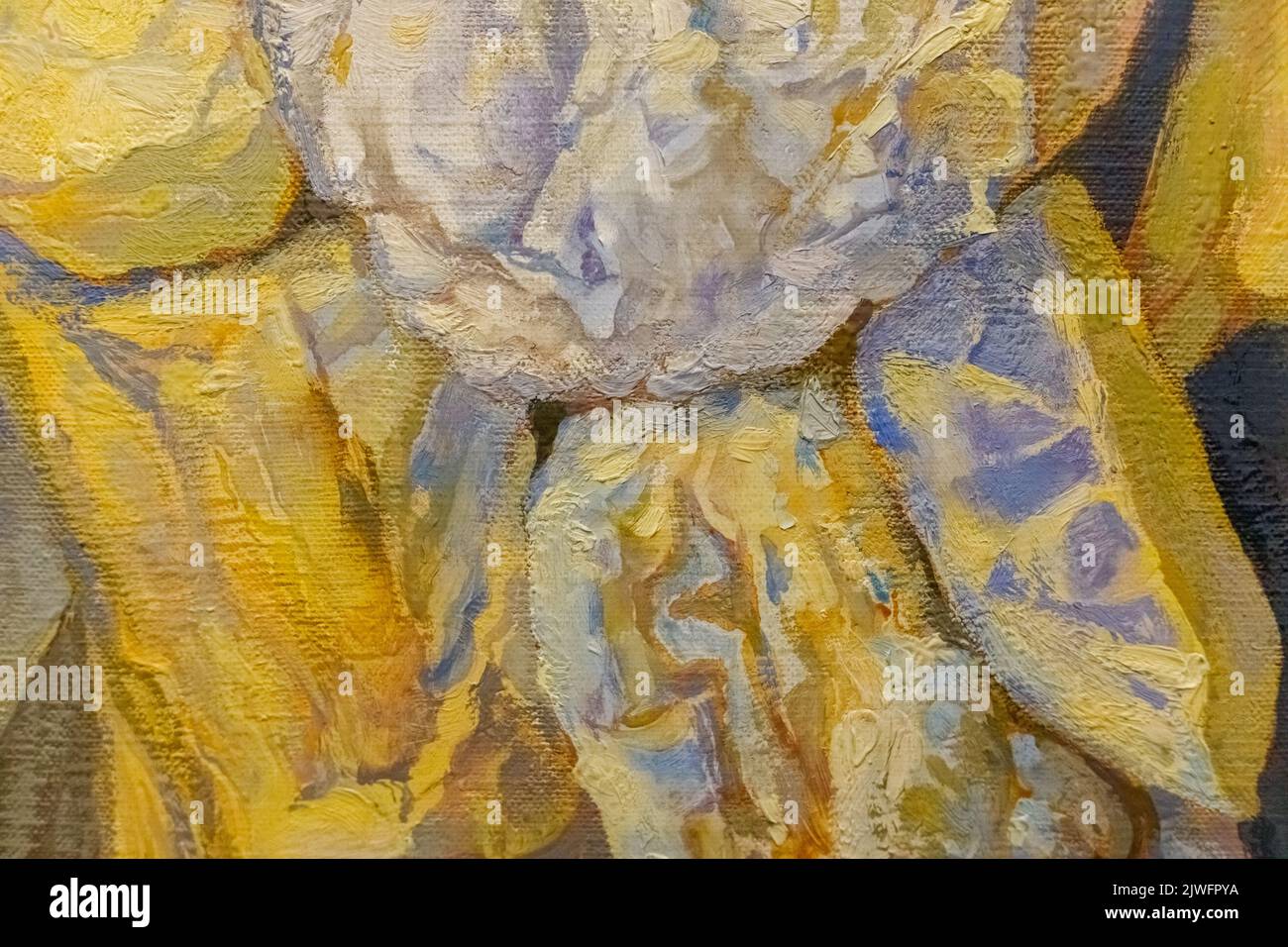 Colorful details of a dry oil painting, background with real texture ...