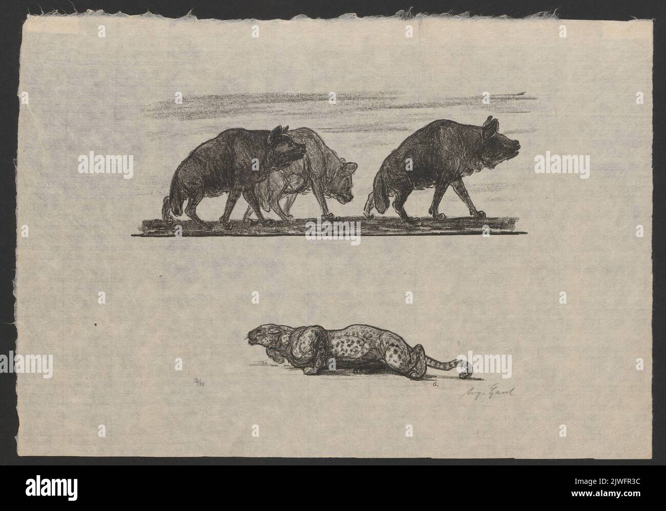 August 1869 hi-res stock photography and images - Alamy