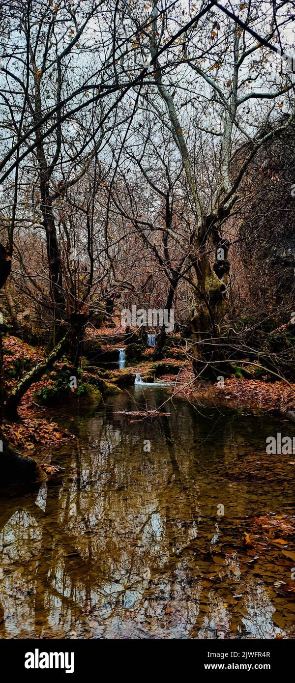 A beautiful view of a river in a forest with autumn trees on a cloudy ...