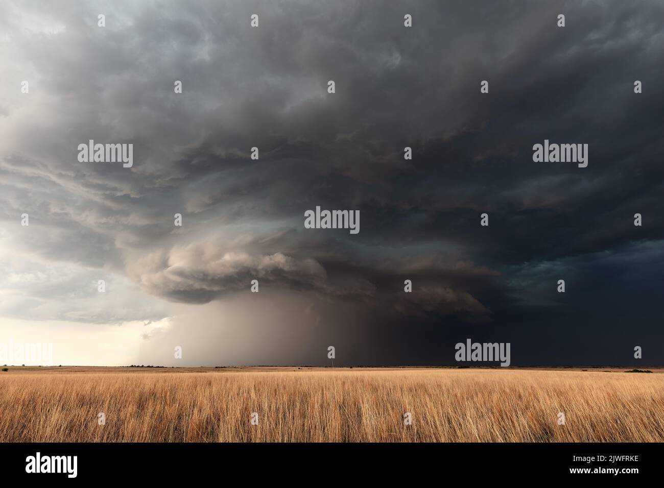 Storm over wheat field hi-res stock photography and images - Alamy
