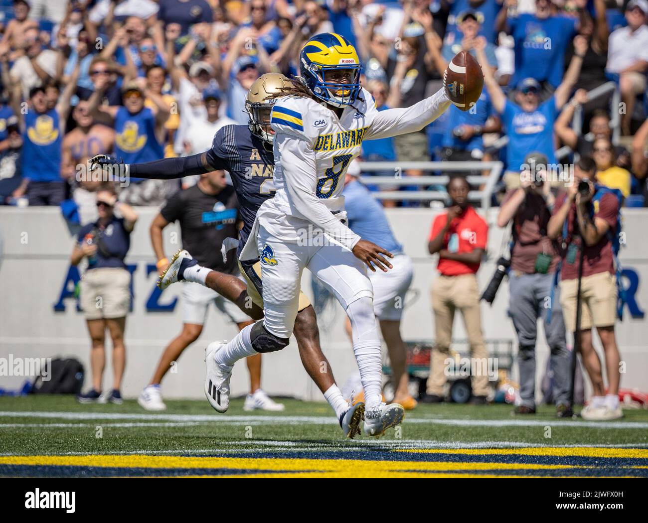 Fightin' blue hens hi-res stock photography and images - Alamy
