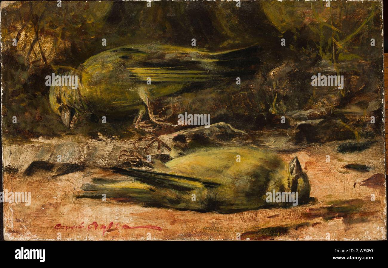 Dead birds. Agthe, Curt (1862-1943), painter Stock Photo - Alamy