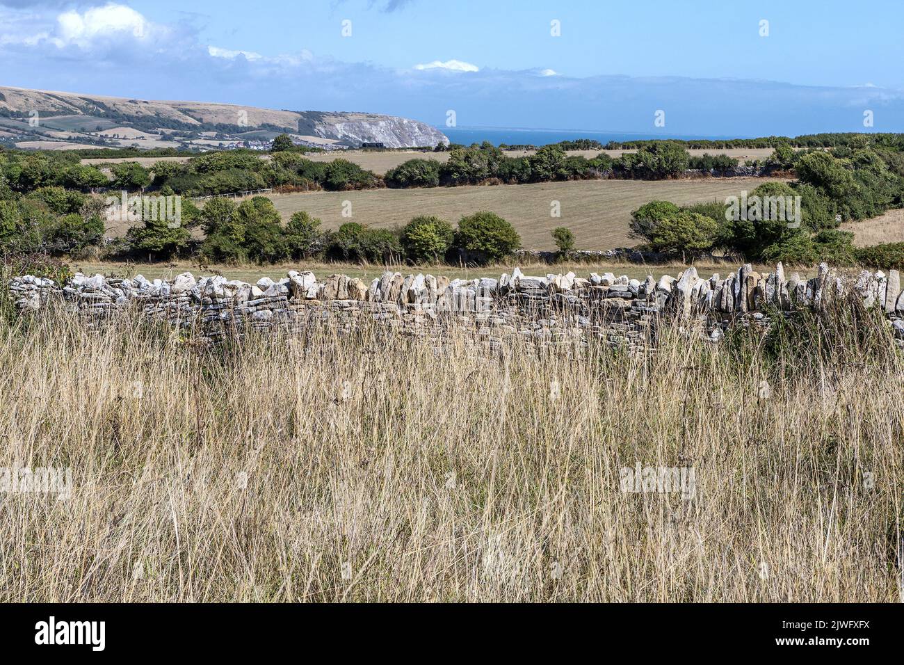 Swanage cliffs from Langton Matravers, Isle of Purbeck with drystone ...