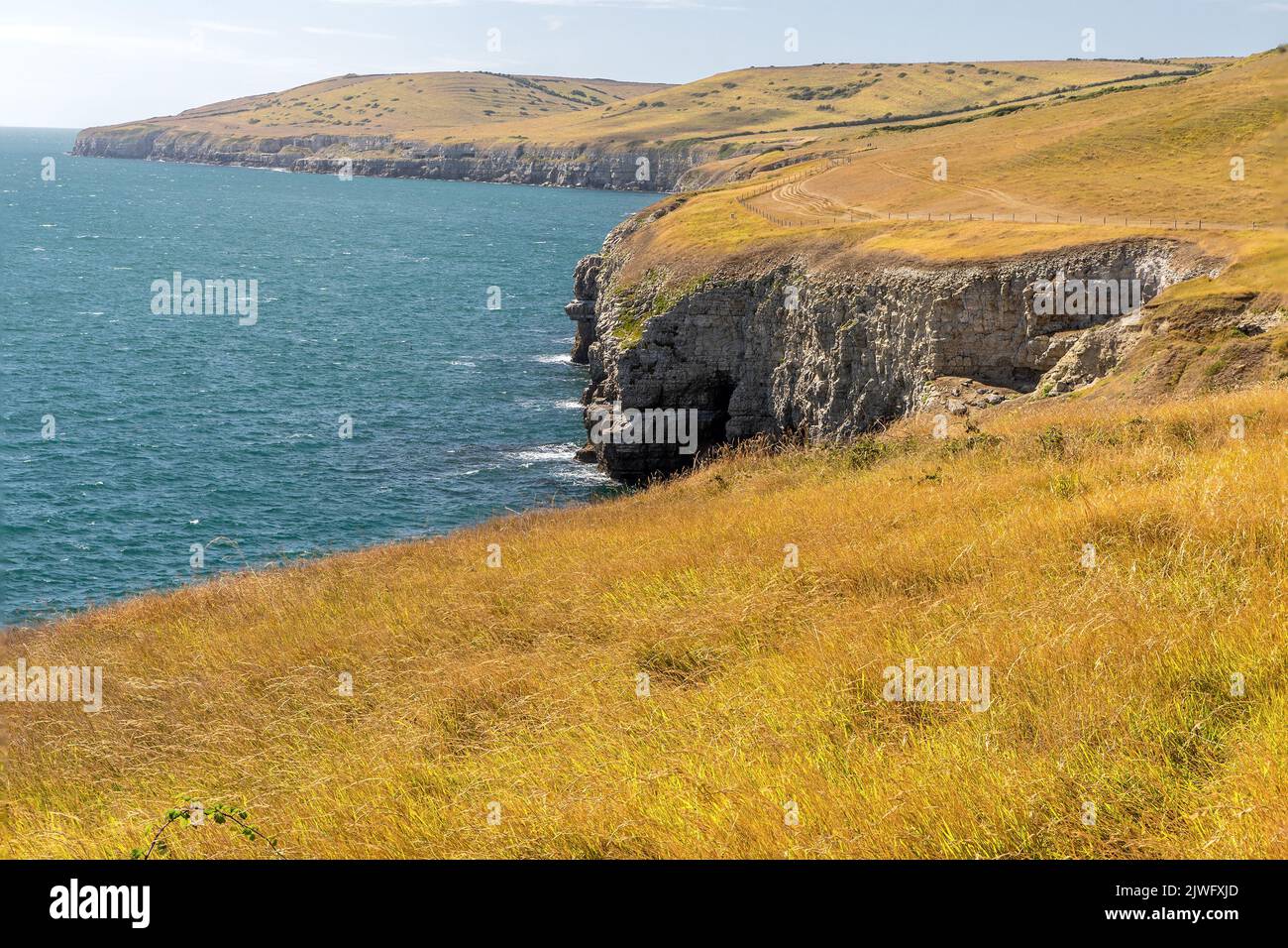 Dancing Ledge, Jurassic coast, Isle of Purbeck, Langton Matravers, summer, Dorset, UK Stock ...
