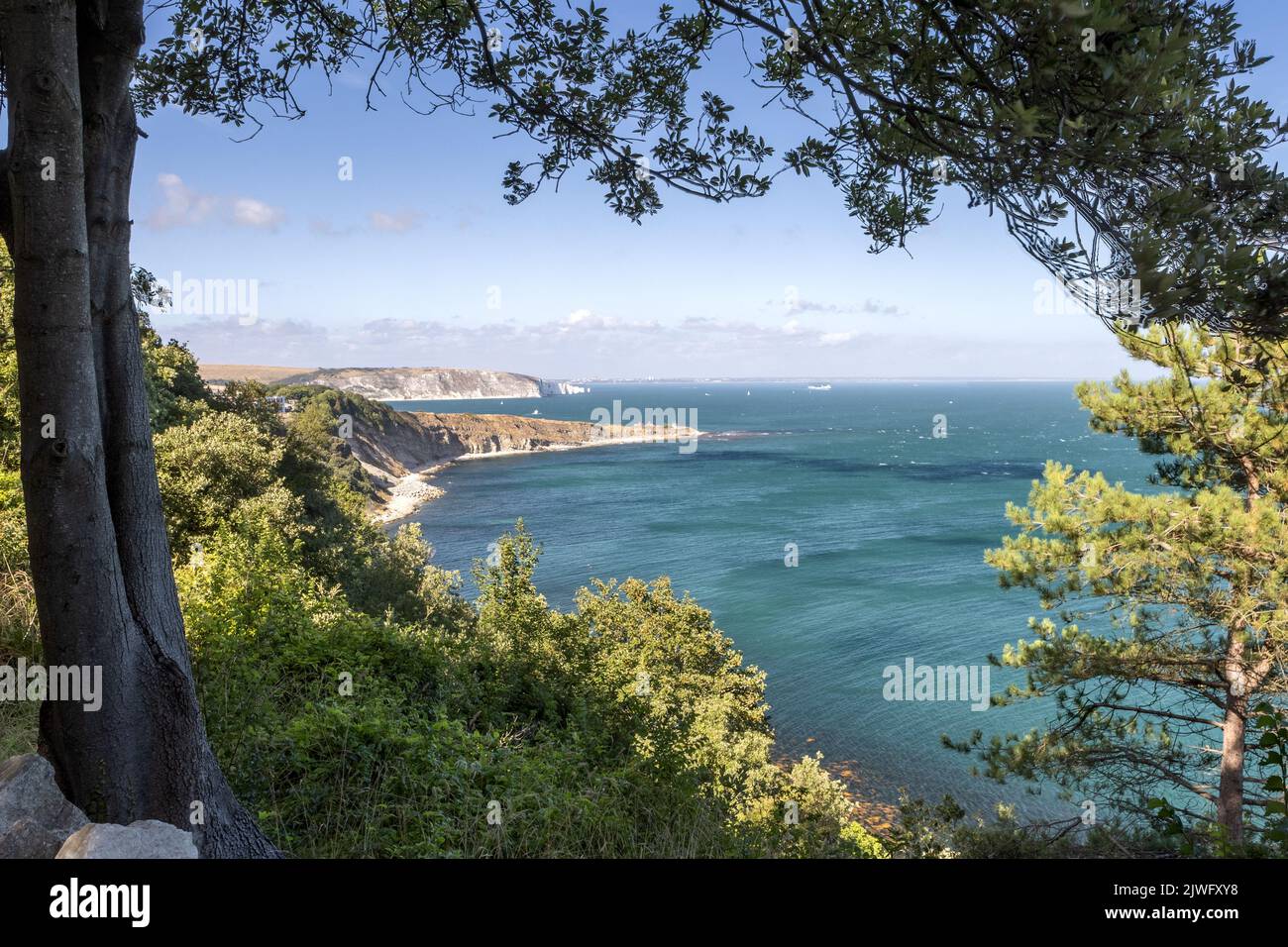 Durlston Bay and Peveril Point, Swanage, Dorset, UK Stock Photo - Alamy