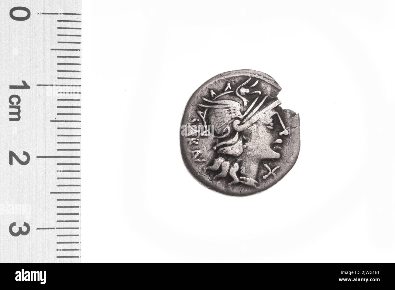 Subaeratus hi-res stock photography and images - Alamy