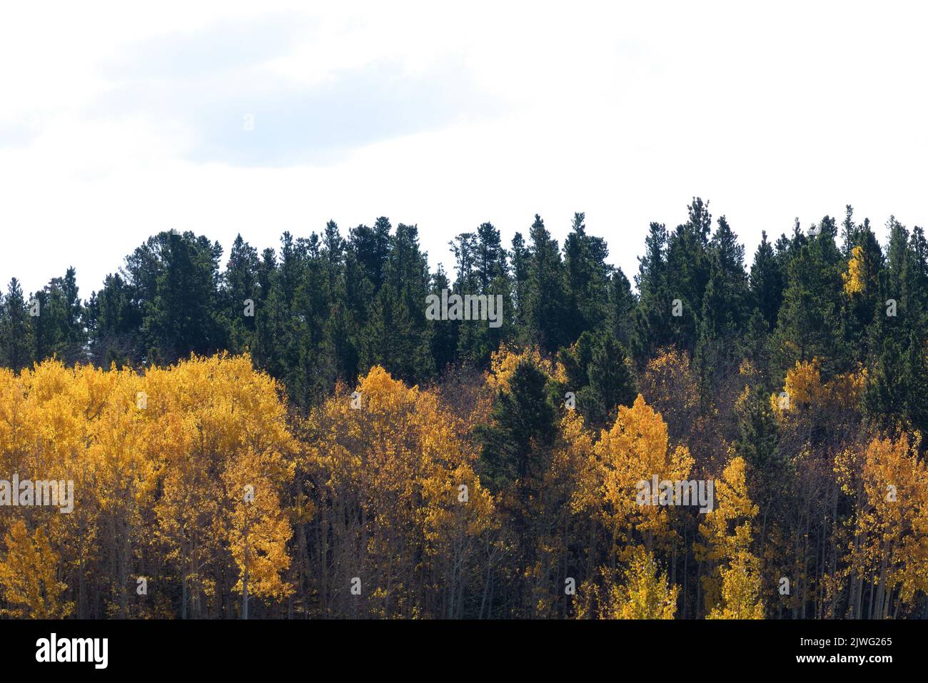A high angle view of a rich vegetative land Stock Photo - Alamy