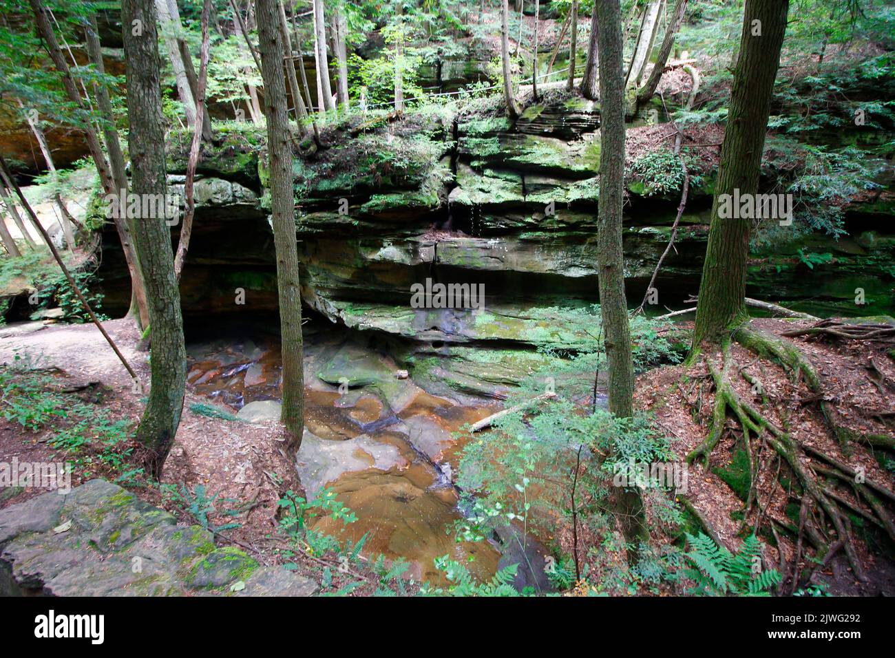 Old Man's Cave in Summer, Hocking Hills State Park, Ohio Stock Photo ...