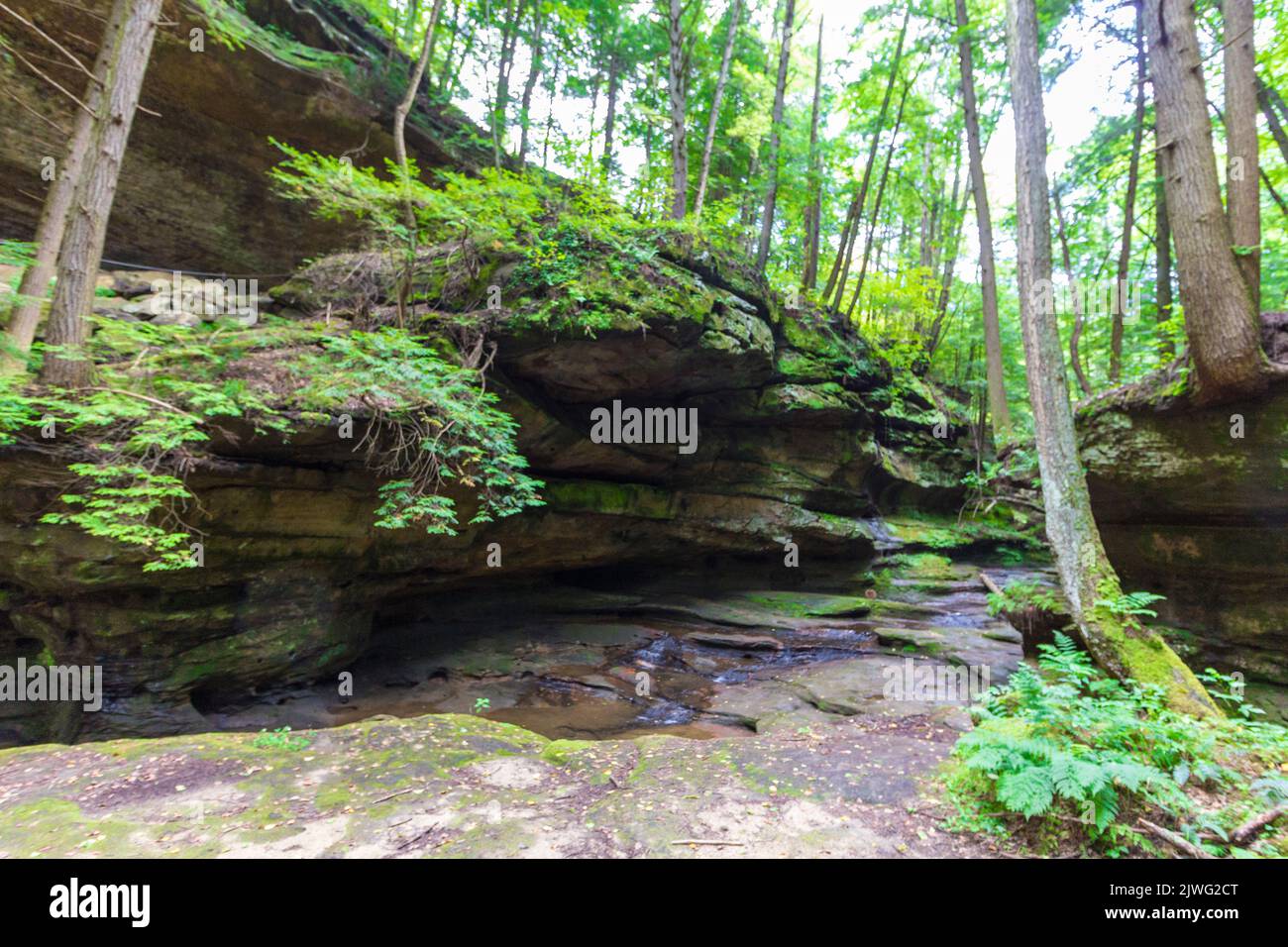 Old Man's Cave in Summer, Hocking Hills State Park, Ohio Stock Photo ...