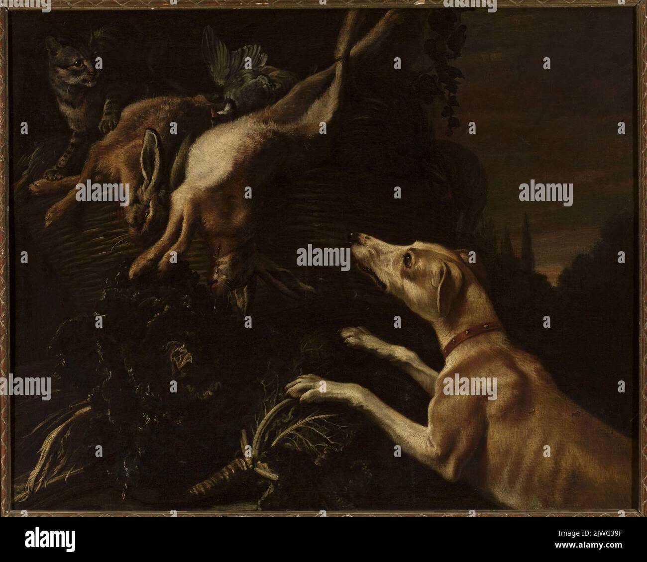 Dog attacking a cat. Vonck, Jan (1631-1663/1664), painter Stock Photo ...