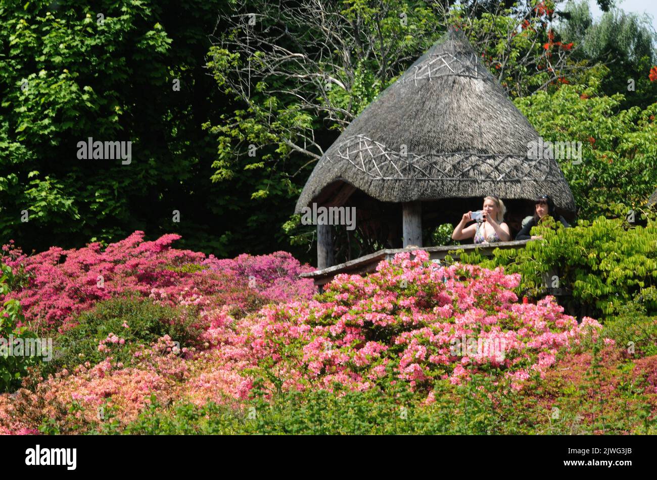 Furzey gardens new forest hi-res stock photography and images - Alamy