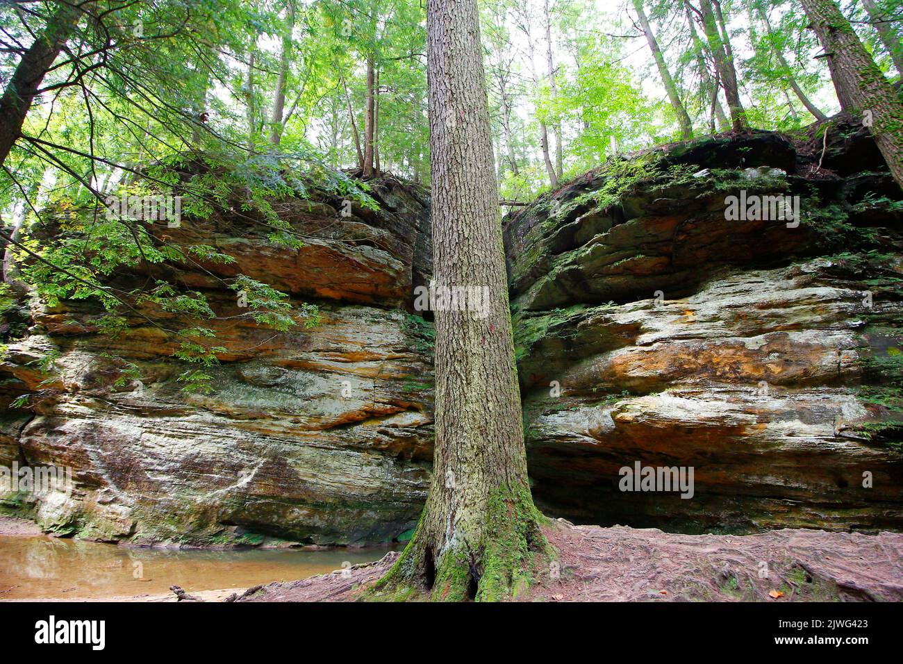 Old Man's Cave in Summer, Hocking Hills State Park, Ohio Stock Photo ...