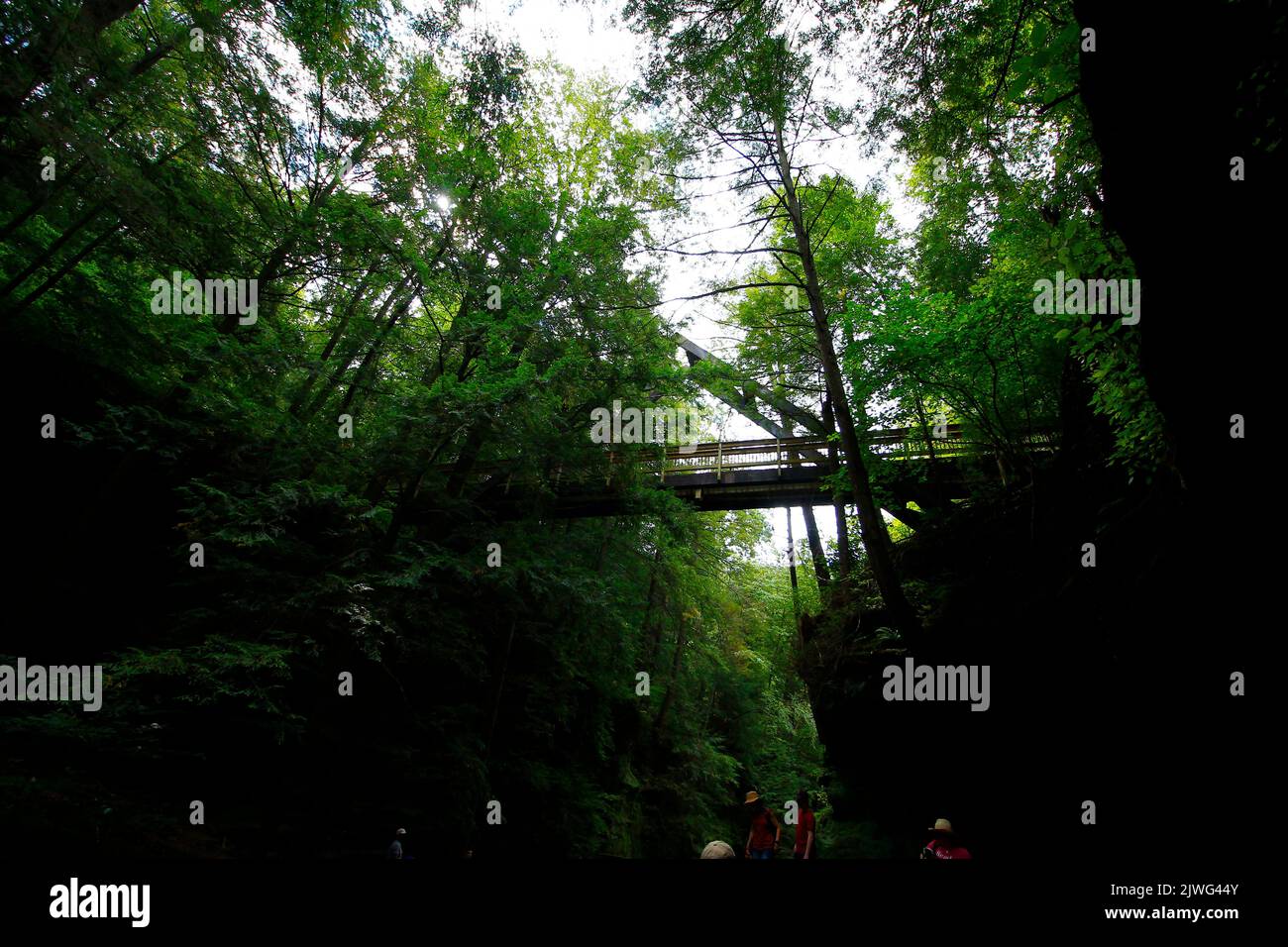 Old Man's Cave in Summer, Hocking Hills State Park, Ohio Stock Photo ...