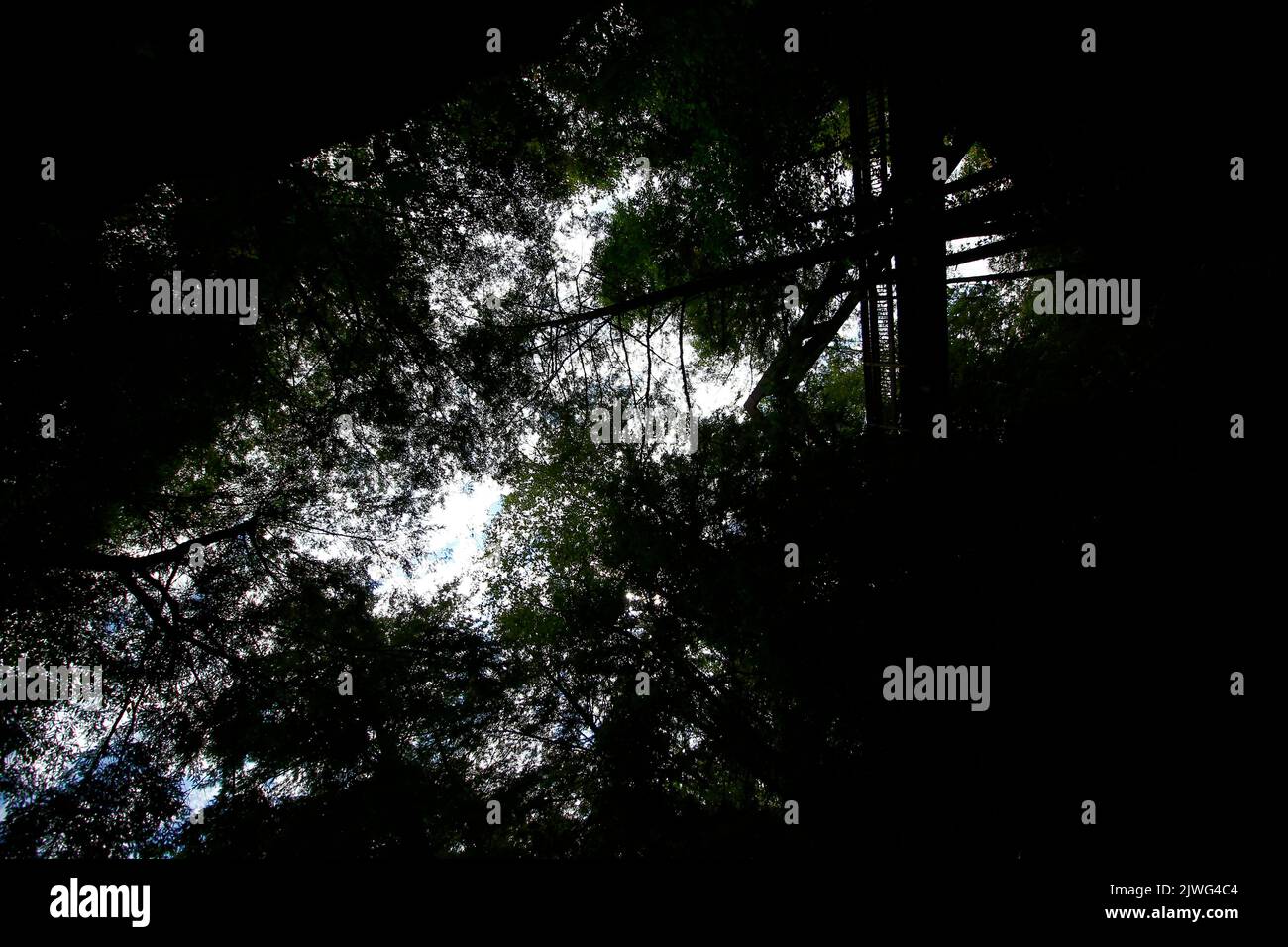 Old Man's Cave in Summer, Hocking Hills State Park, Ohio Stock Photo ...