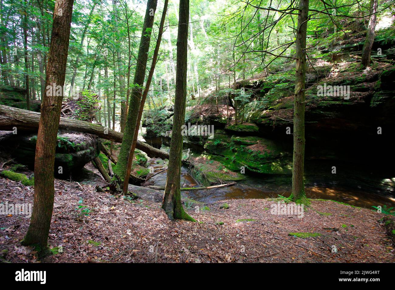 Old Man's Cave in Summer, Hocking Hills State Park, Ohio Stock Photo ...