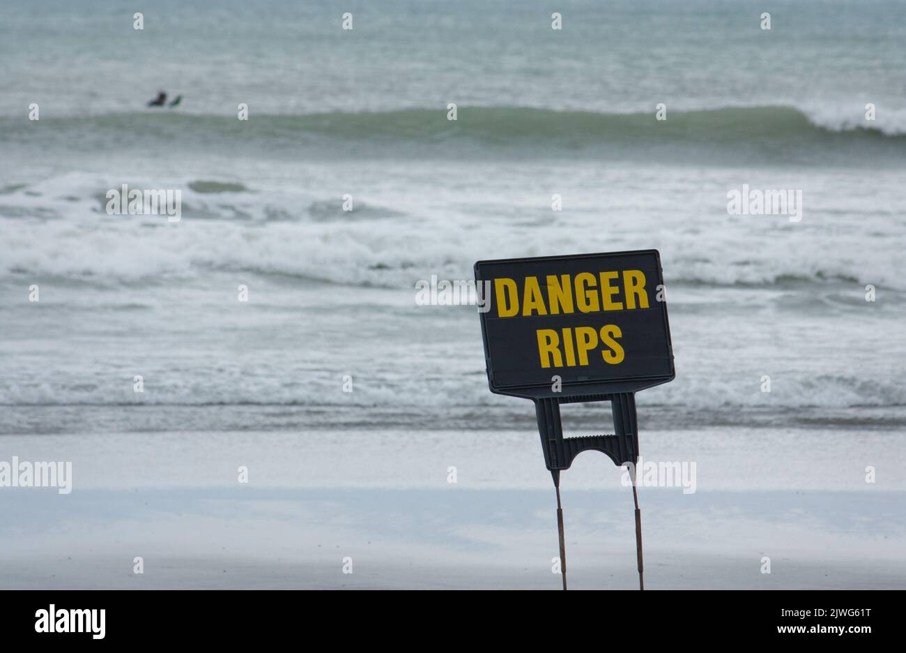 "DANGER RIPS" sign on a New Zealand beach Stock Photo - Alamy