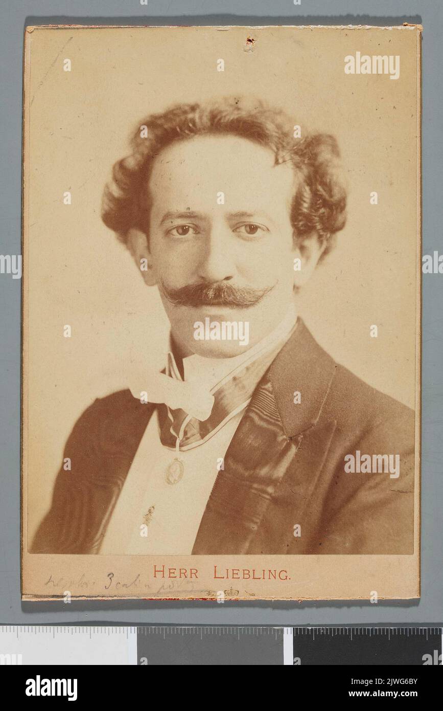 Portrait of Georg Liebling (1865-1946), German pianist, composer (bust ...