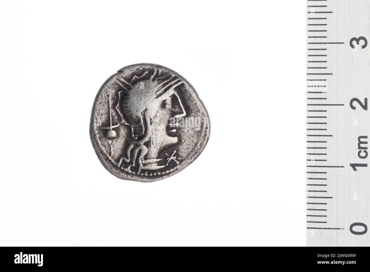 Postumius albinus hi-res stock photography and images - Alamy