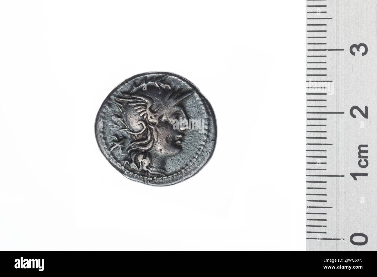 Metellus hi-res stock photography and images - Alamy