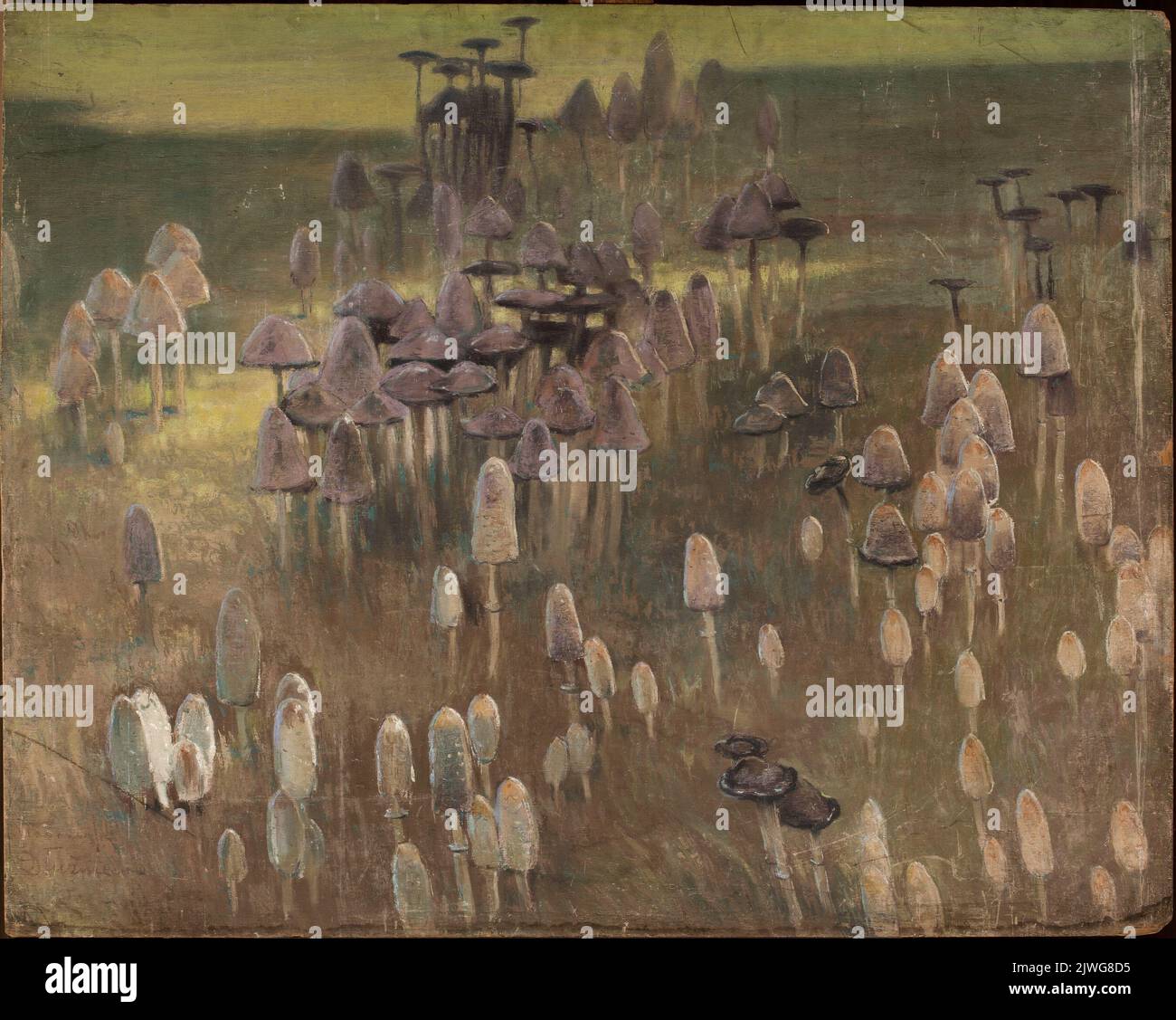 Autumn flora. Stabrowski, Kazimierz (1869-1929), painter Stock Photo ...